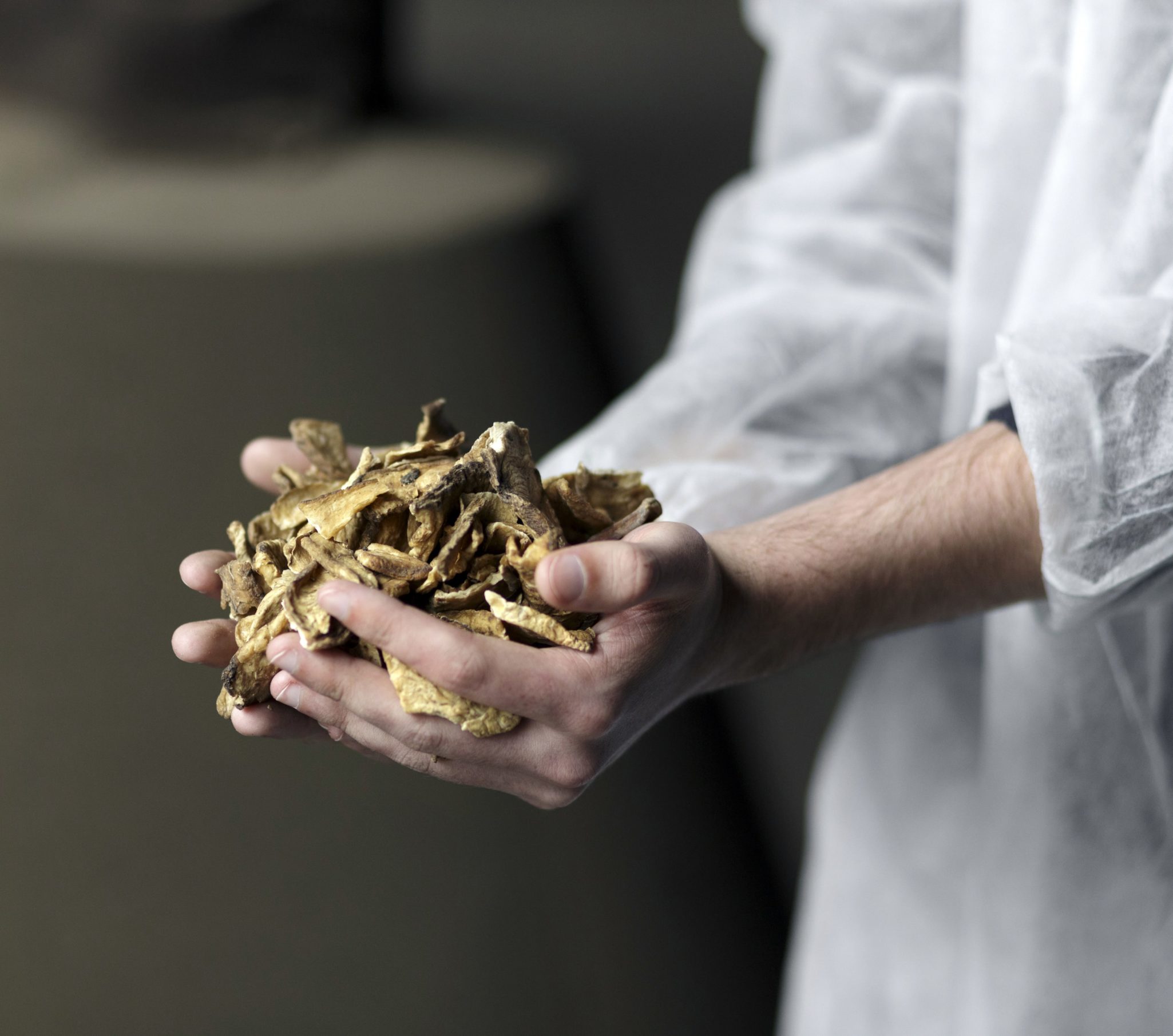 Clubster NHL - Clubster NHL